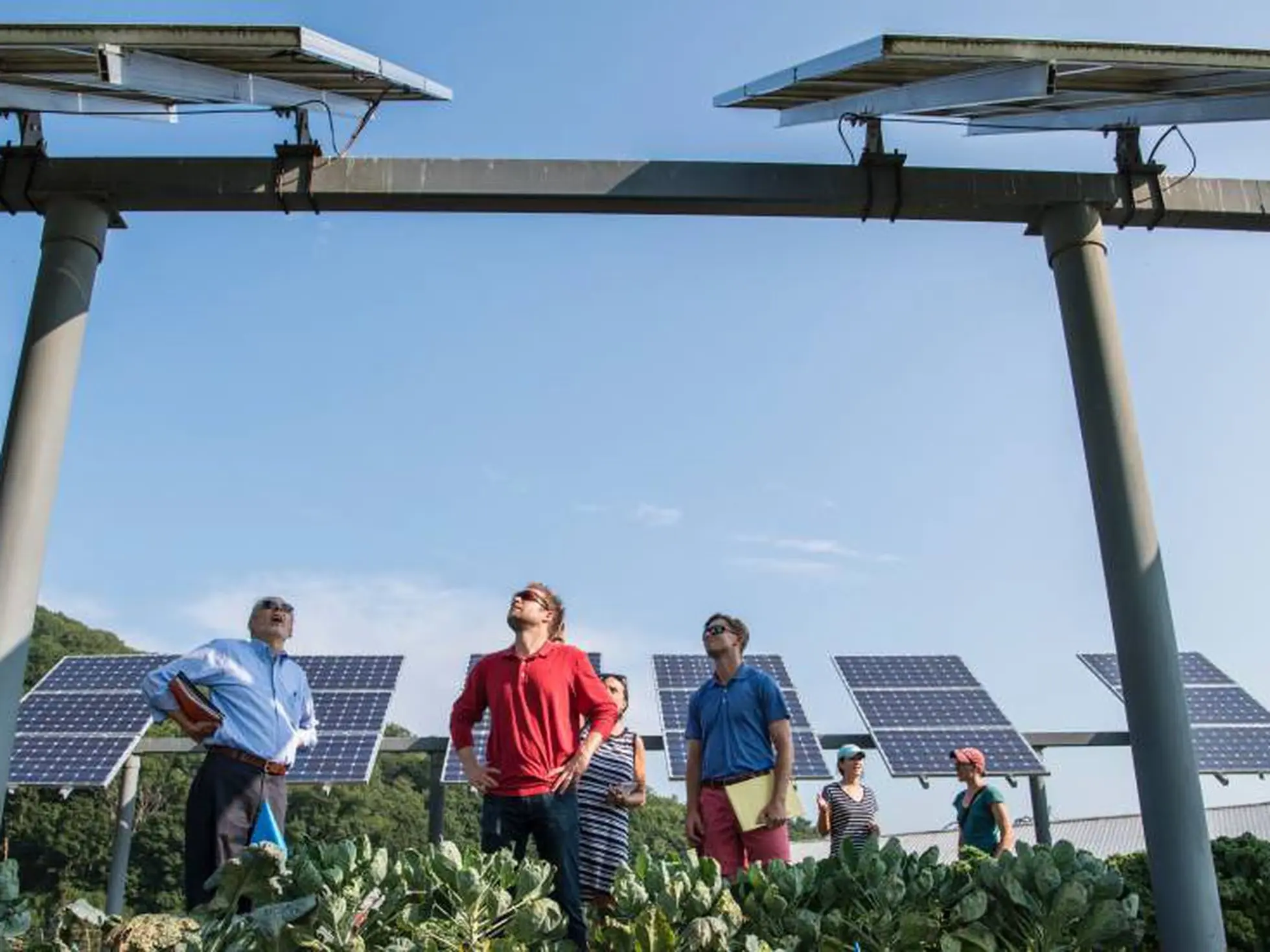 Infinity Energy | Solar Energy Company | Homepage